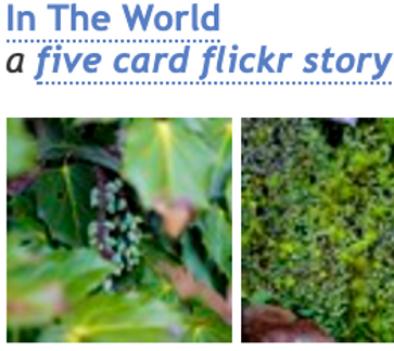 5-Card Flickr | Recursoswebaula