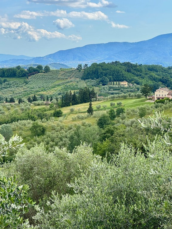 Living (and Remote Working) Under the Tuscan Wi-Fi