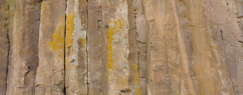 All Products | Legion 44