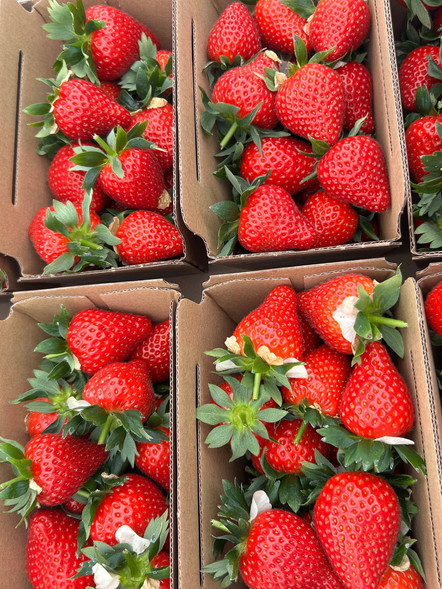 On Farm Vending | Berries On Tap | England