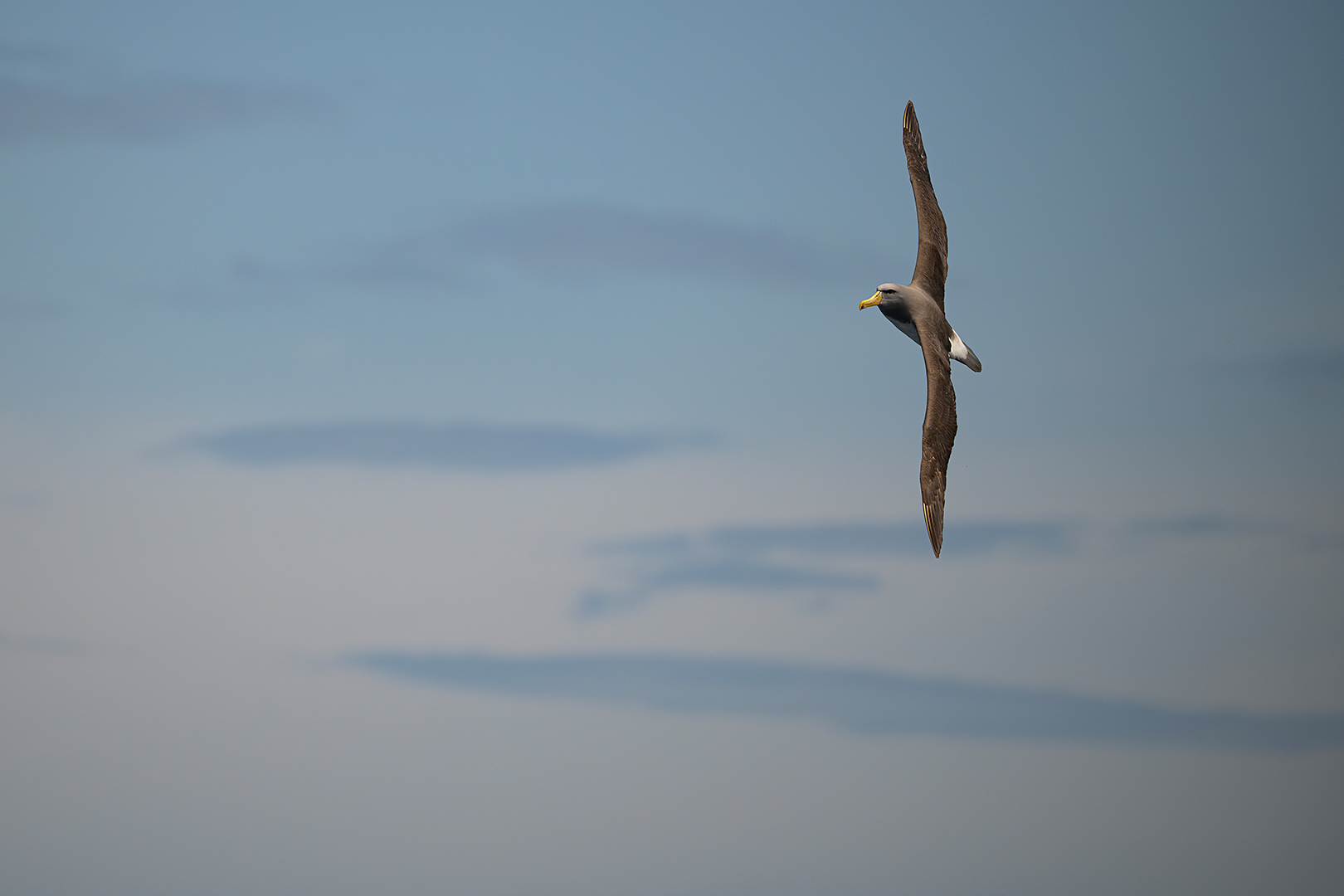 THE PETREL STATION, TUTUKAKA, NEW ZEALAND