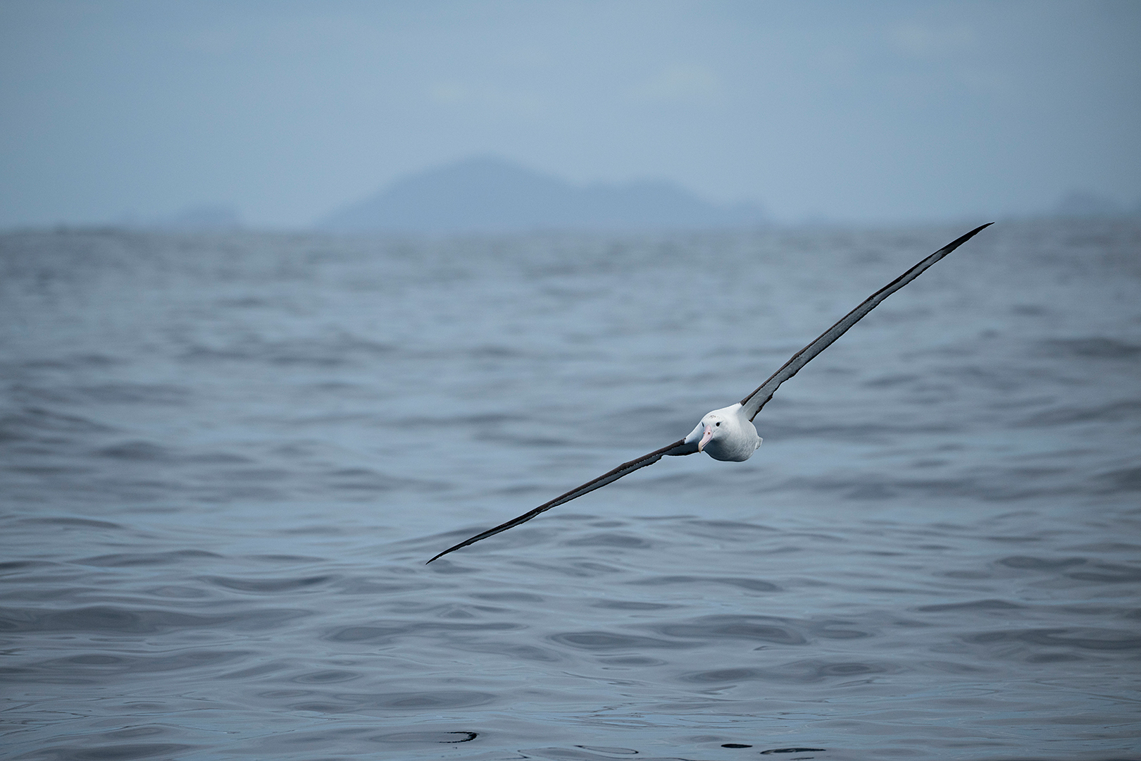 THE PETREL STATION, TUTUKAKA, NEW ZEALAND
