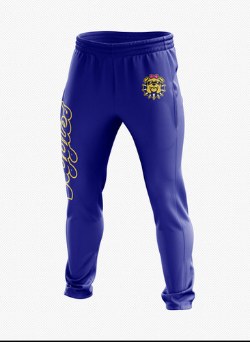 TSM Blue Sweatpants | Buzz Athletics