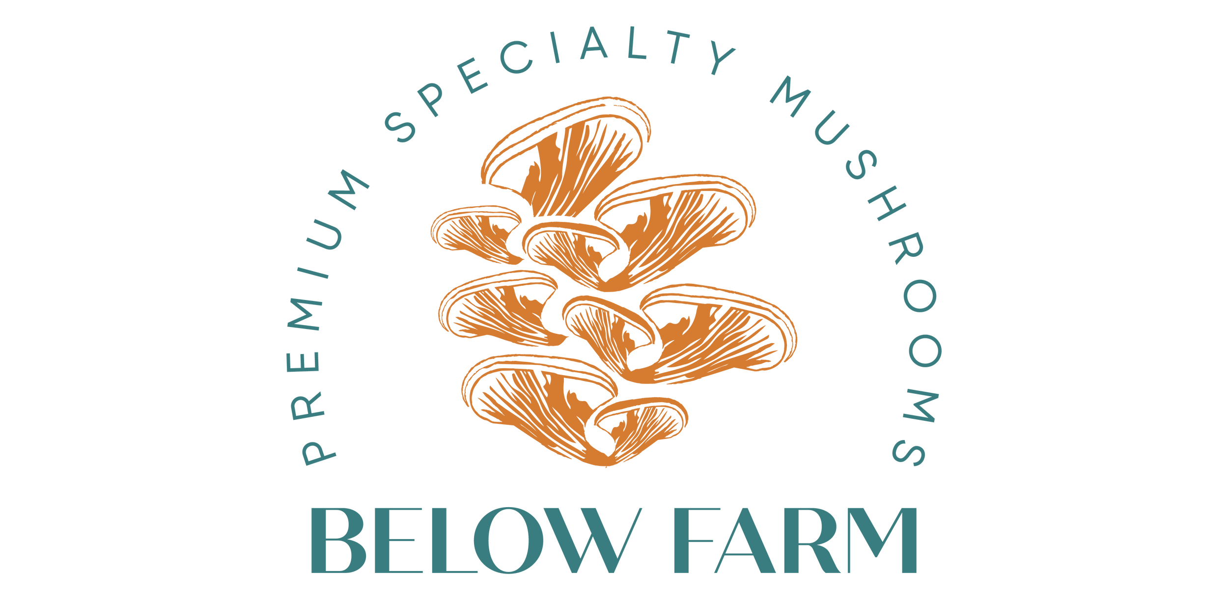 Below Farm | Mushrooms | Abu Dhabi, UAE