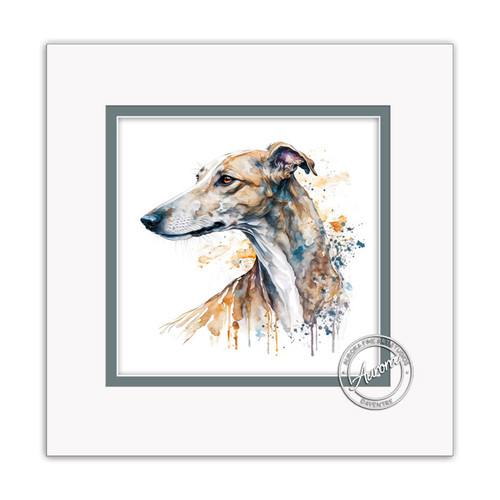 Gypsy the Greyhound | First Light Photo