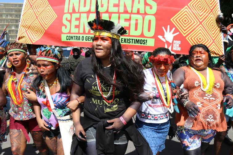 Indigenous Peoples and the Environment in Brazil: Public Anthropology ...
