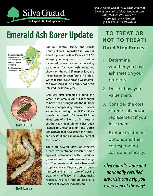 Our Blog | Silva Guard