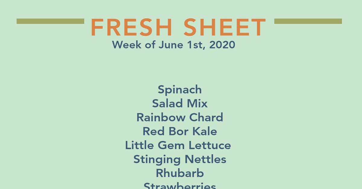 FRESH SHEET | First Rain Farm