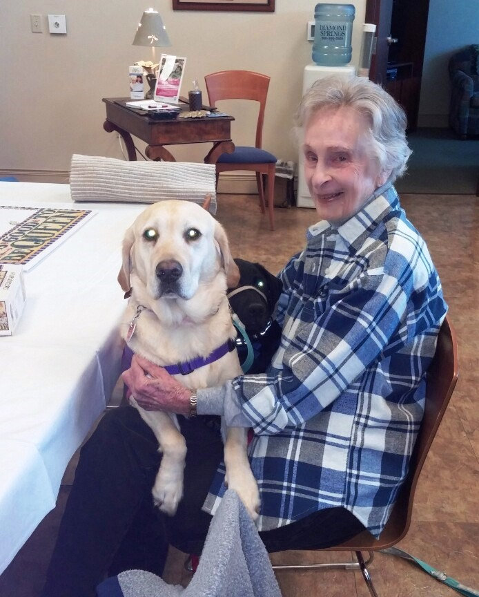 Jane Chapman | The Hawthorne