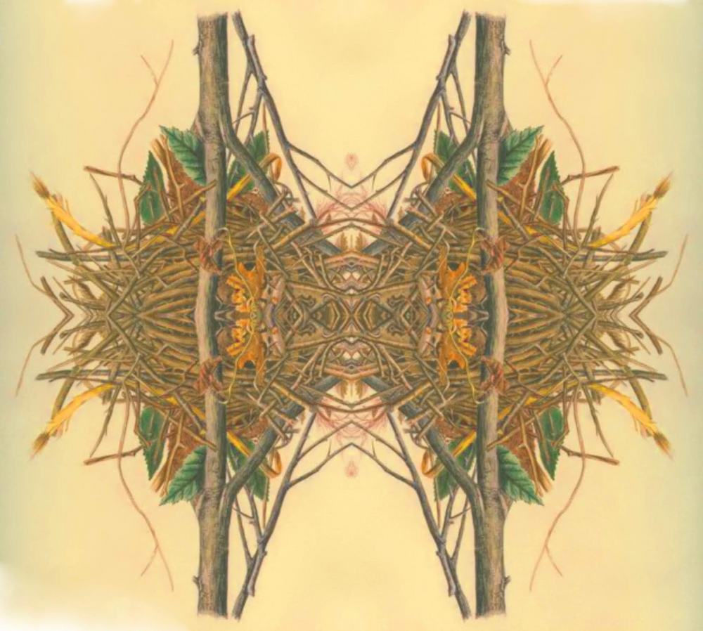 ArLiJo Issue 120 — Bill Wolak, Perle Besserman, Frank Diamond, Zack Rogow