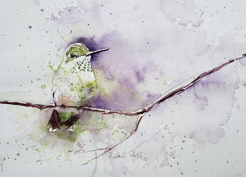 Loose Hummingbird Watercolor Tutorial | mysite