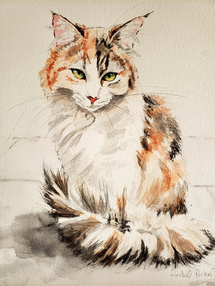 $8+ Super Beginner Cat Watercolor Tutorial - Long Haired Dilute Calico