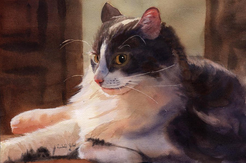 "Big Boy" Grey and White Calico Cat art Print Digital File Giclee | mysite