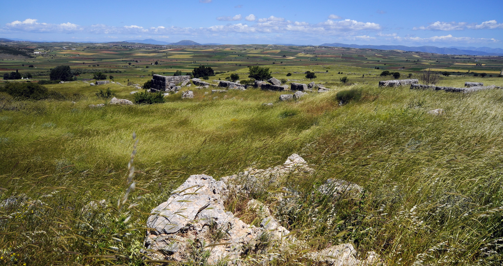 Plataea Battle 479 BC. Herodotus History private tour. Greece tour