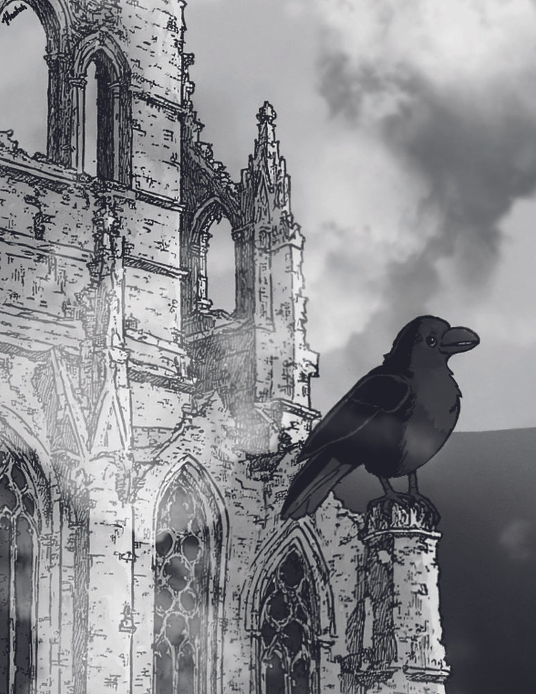 The Crows of St Andrews: The Folklore Behind the Food-Stealing Fiend