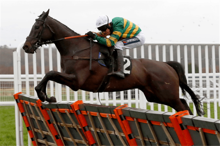 Racing - National Hunt | Grange Hill Stud