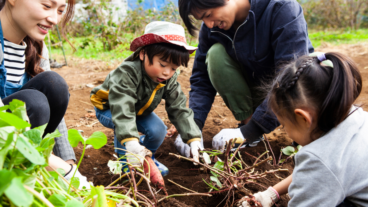 Experiences | Bel English