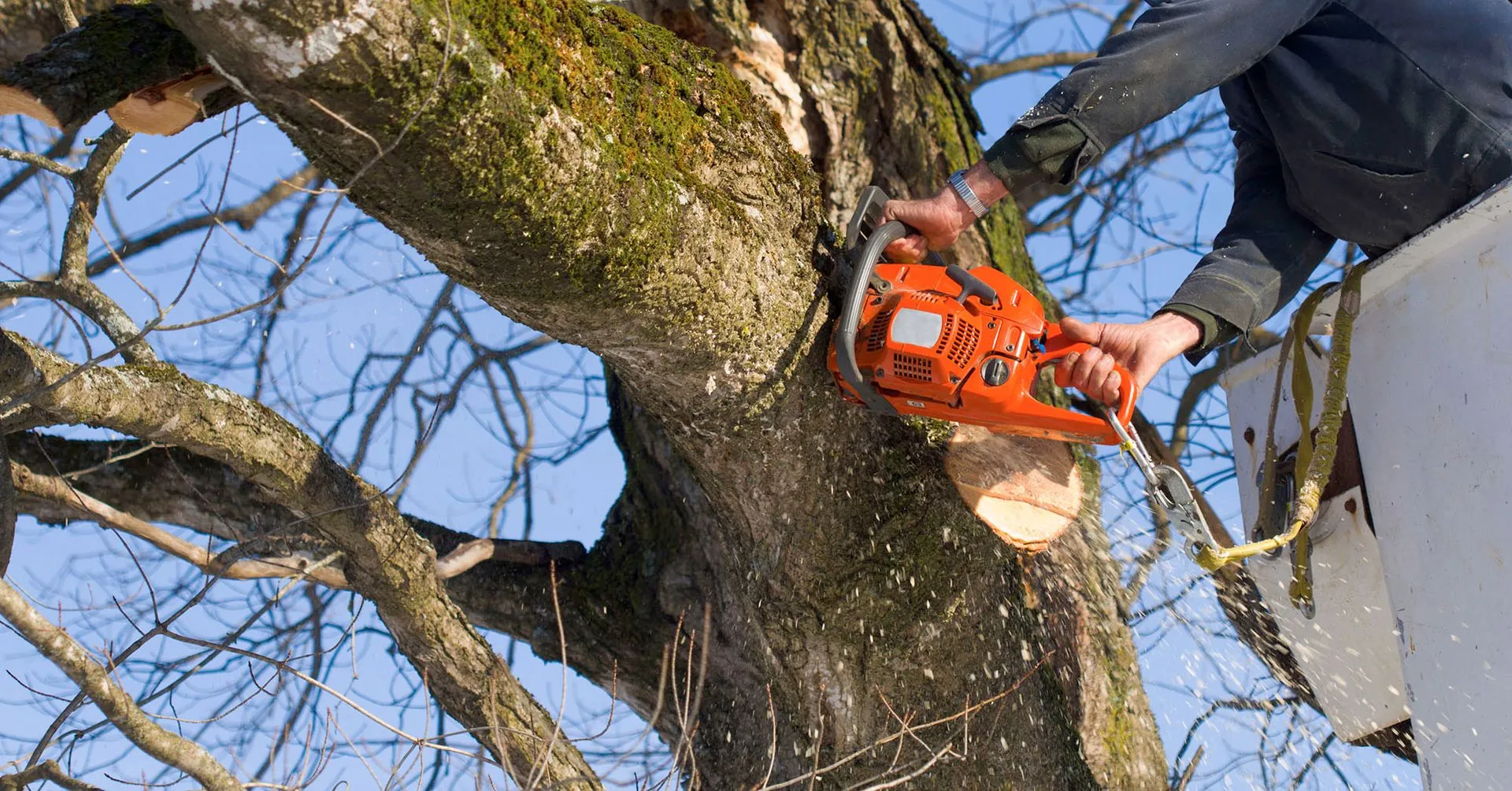 HOME | Castle_Landscapes