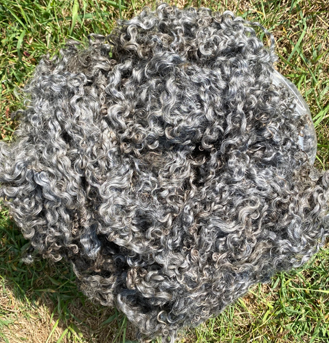 Gotland Grey Lambwool 2 lb 13 oz incl shipping | gotland-sheep-wool