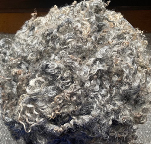 Gotland Grey Lamb Wool - 3 lb 2 oz incl shipping | gotland-sheep-wool