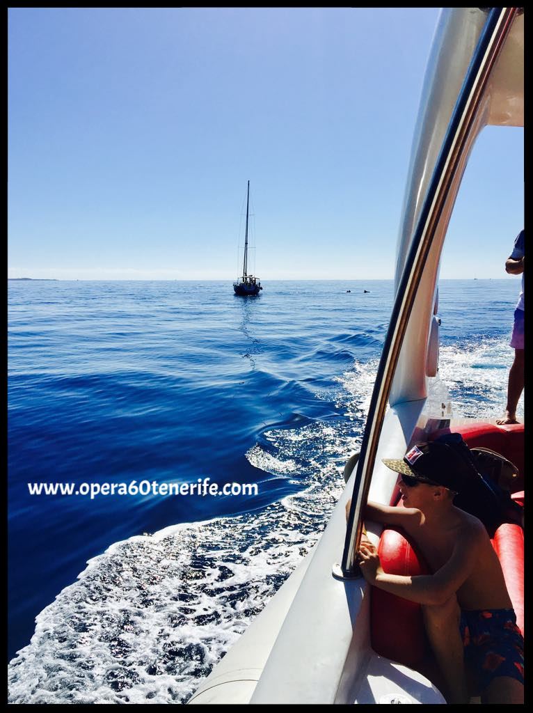 OPERA 60 TENERIFE Boat Excursions & Private Charters I Costa Adeje