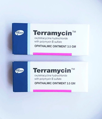 Terramycin Opthalmic Ointment 3.5g X 2 Ointments | SC Pharma Online