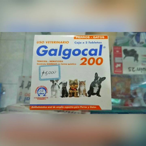 Galgocal 200 | veterinaria
