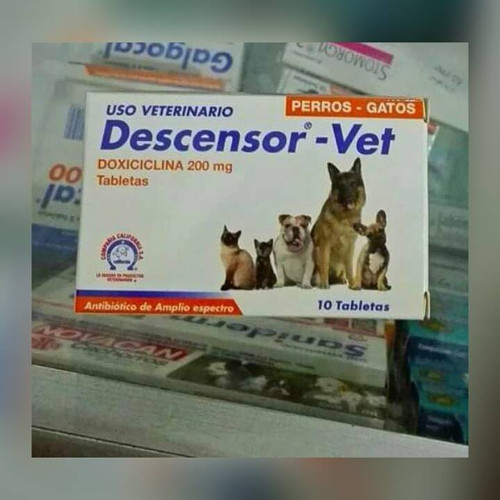 Descensor-Vet | veterinaria