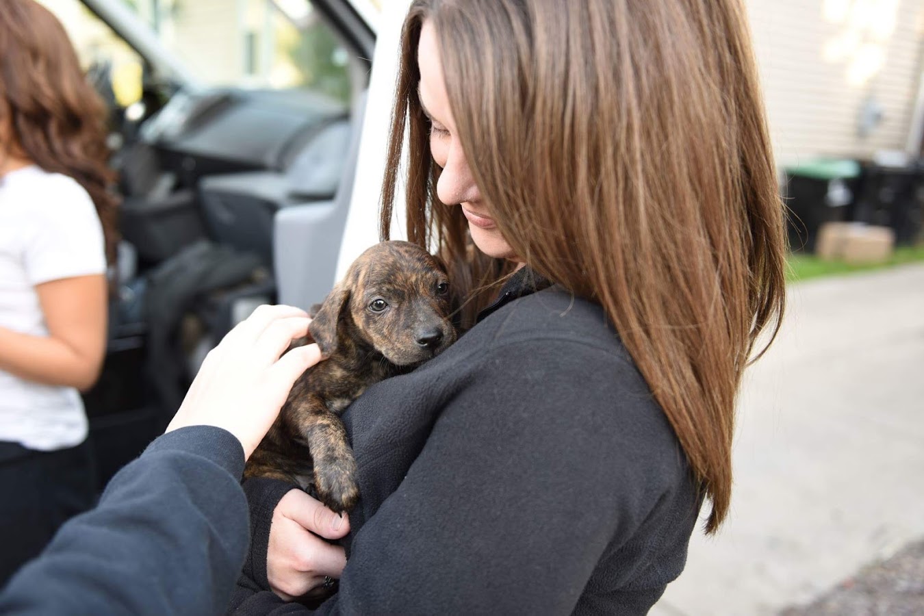 Awesome Paws Rescue | Foster | Buffalo