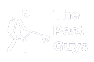 Pest Control | The Pest Guys | Helderberg