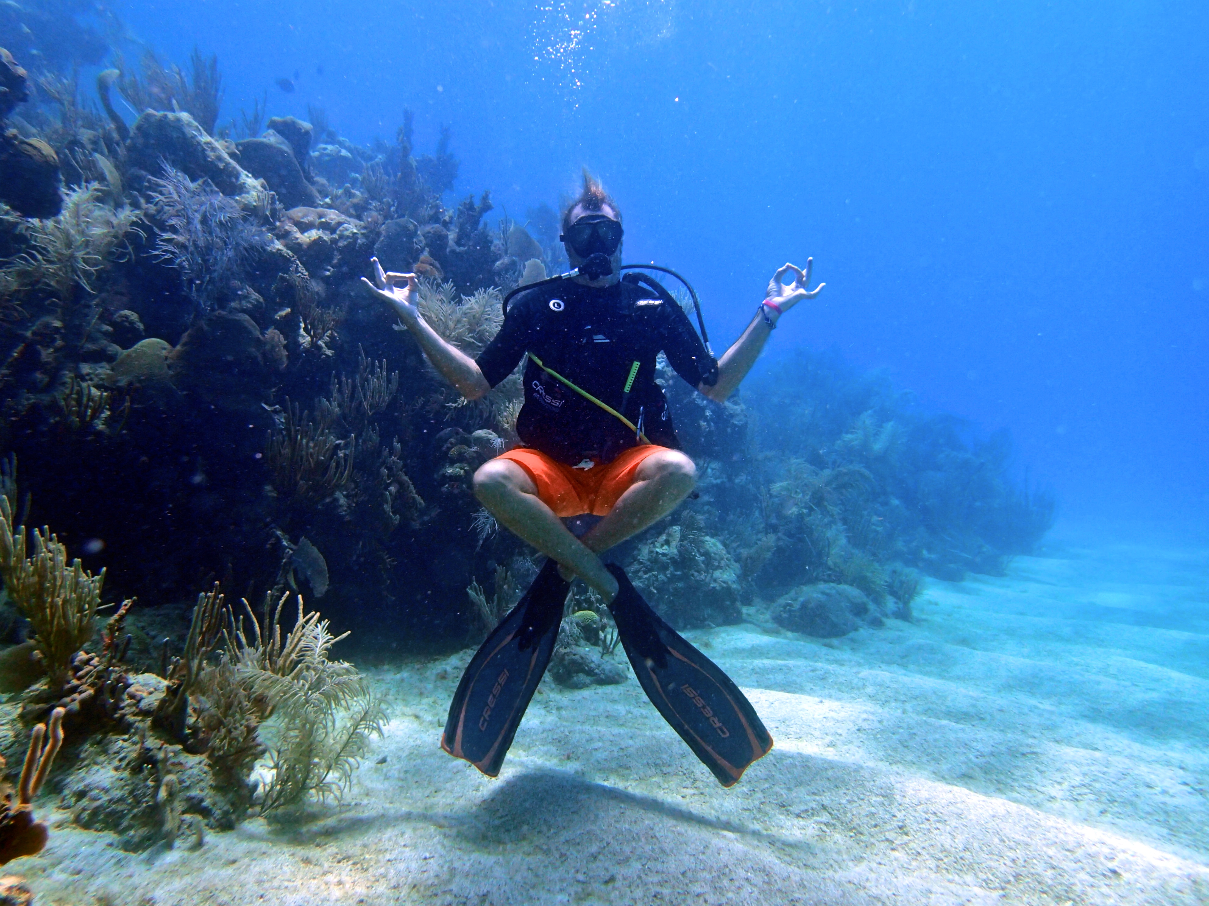 Book a SCUBA DIVE adventure while in St. Thomas