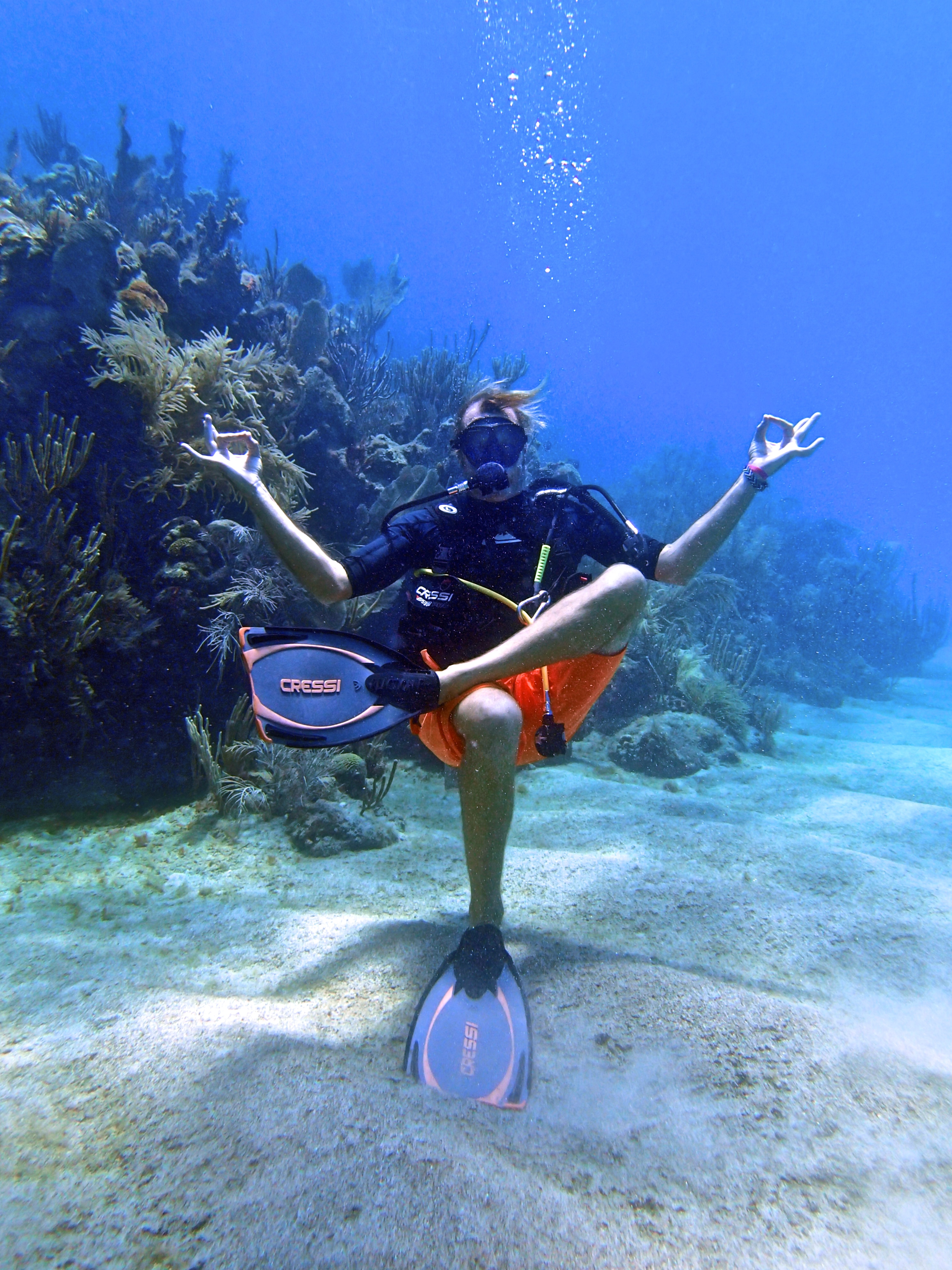 Book a SCUBA DIVE adventure while in St. Thomas