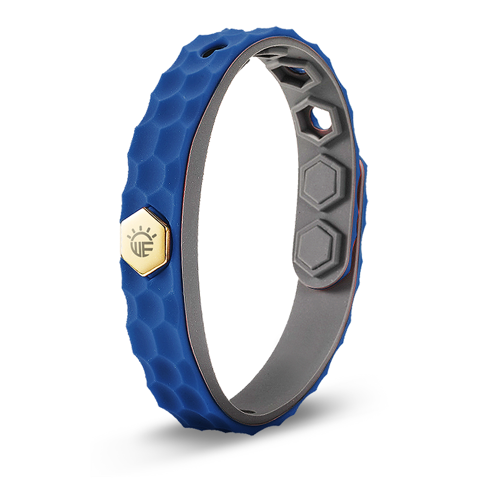 SHOP/PRODUCTS | Wellnergie 2/2