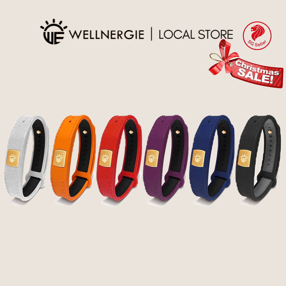 SHOP/PRODUCTS | Wellnergie 2/2