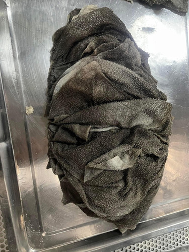 ริ้วดำ Macesa 225฿ | N FROZEN FOOD