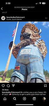Home | Beardedbuffalo
