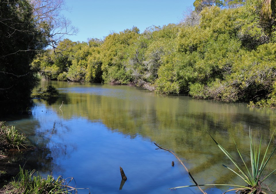 INICIO | Las Taperas
