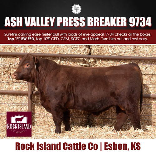 Ash Valley Pressbreaker 9734 | kansasshorthorn