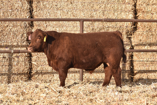 ASH VALLEY 2030 | Loving Farms