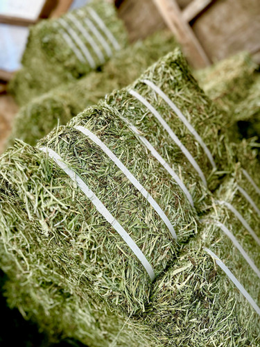 Low Sugar - Compressed Square Bales | Robichaud Reiners