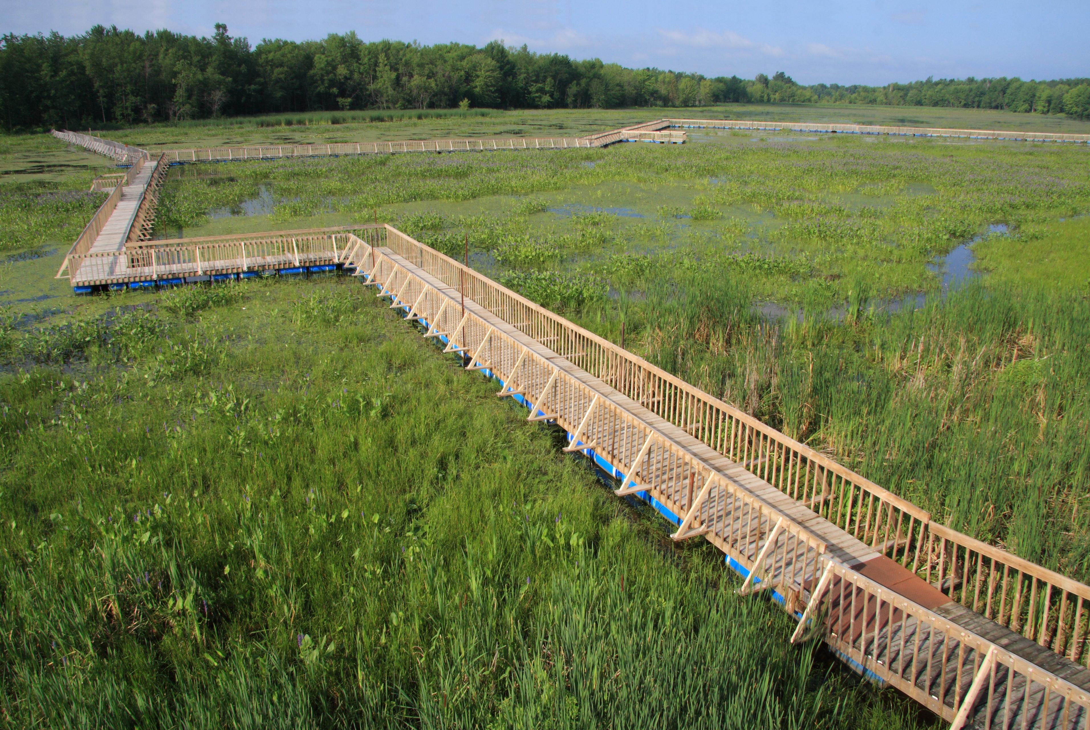 Plaisance National Park Guide (Most Beautiful Places to See)