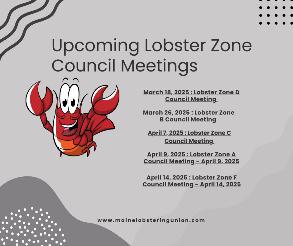 Lobster Zone Council Schedule