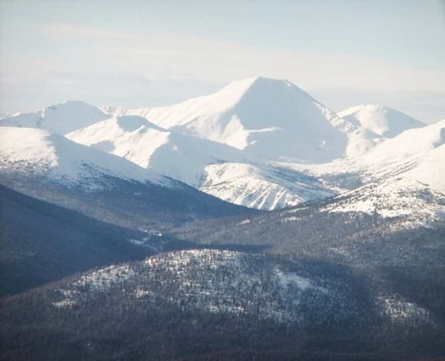 Evans Architecture | Fort Ware Store