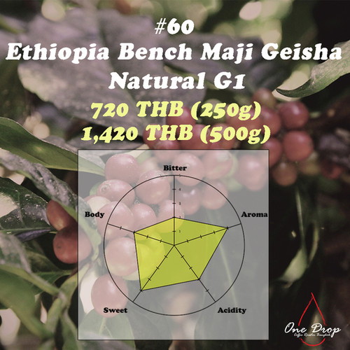 Ethiopia Bench Maji Geisha Natural G1 | onedropcoffeebkk
