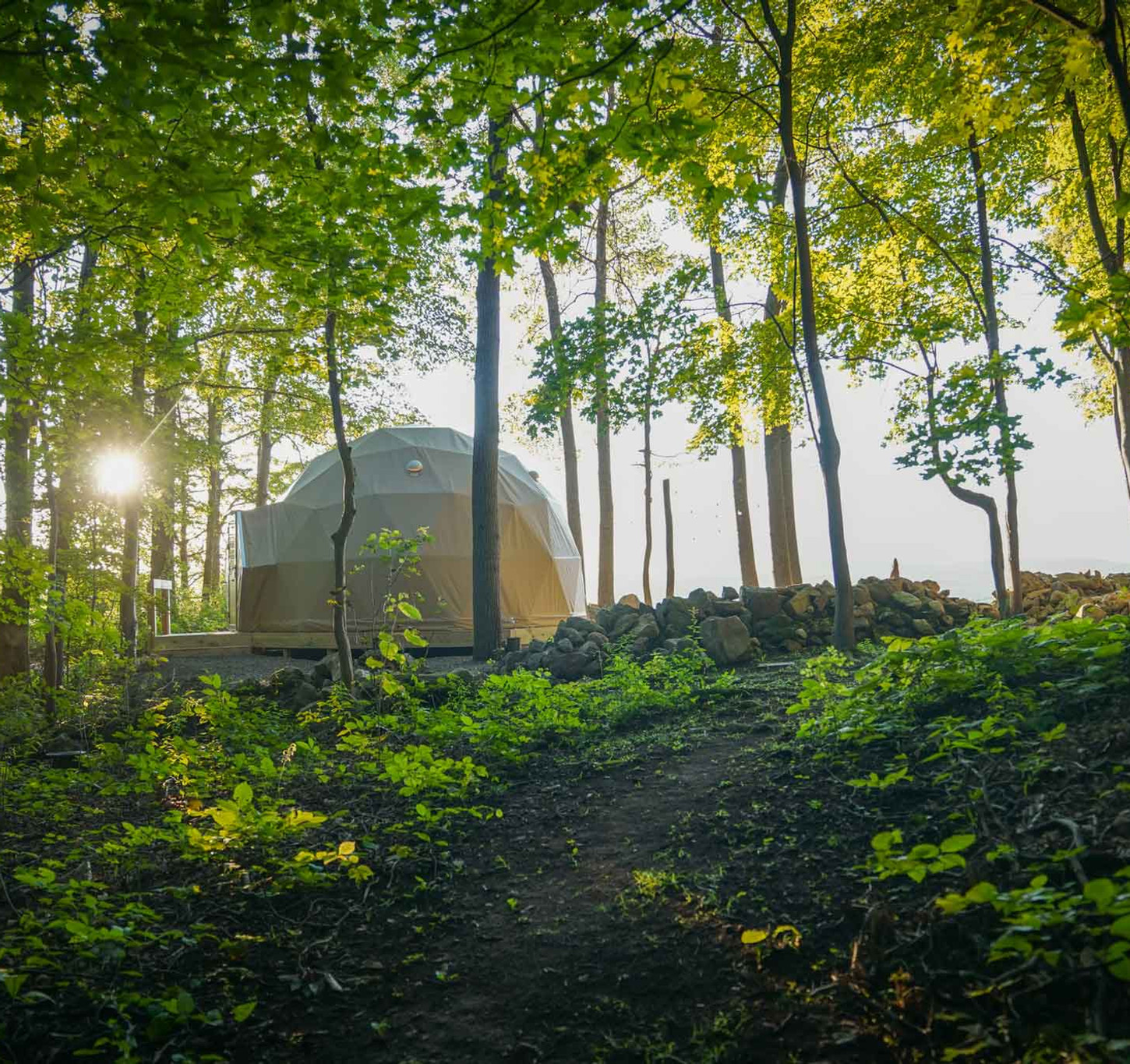 Campsites | Moon Valley