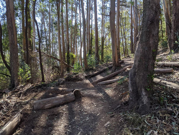 Ridge Trail Day 2019