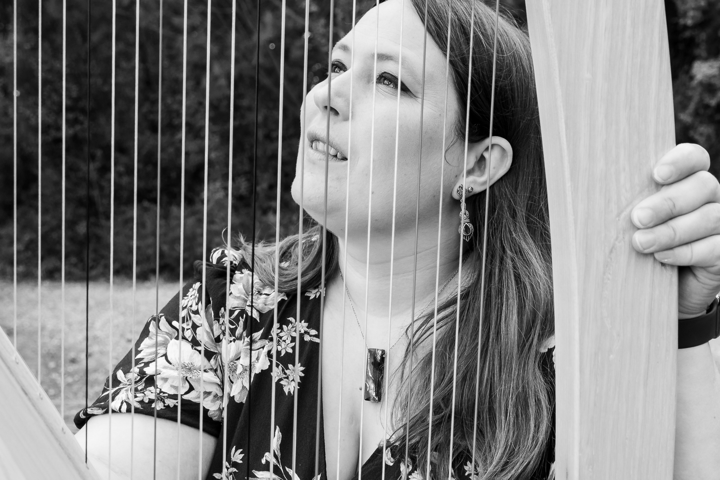 Elizabeth Sutherland | The Boite