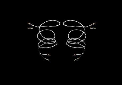 GAMMA INFINITY SPEAKER CABLE | QSA LANEDRI