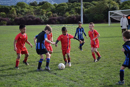 Tawa | Tawa Football Club | Wellington