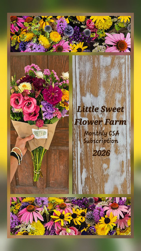 2026 Monthly CSA Flower Bouquet Subscription | Little Sweet Flower